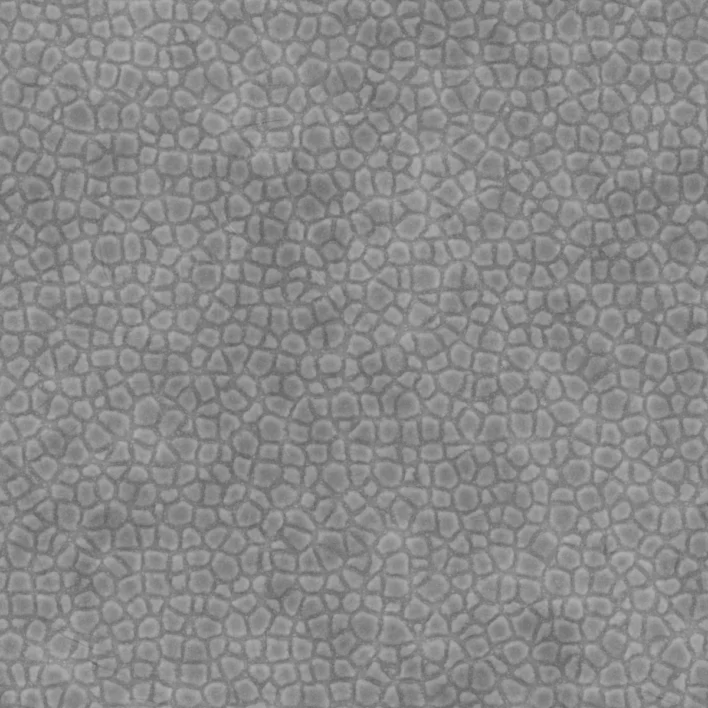 Porous Rock PBR Texture