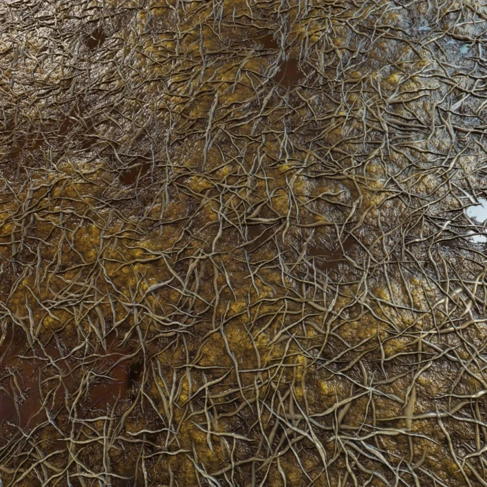 Rotten Flesh PBR Texture