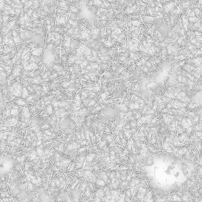 Rotten Flesh PBR Texture