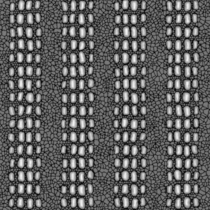 Scaled Skin PBR Texture