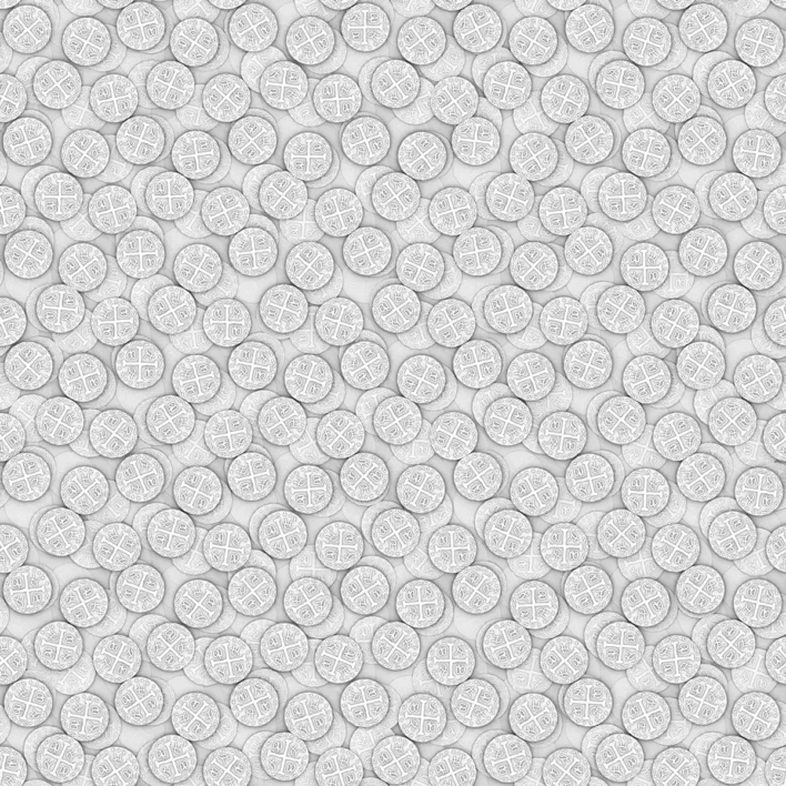 Silver Pirate Coins PBR Texture