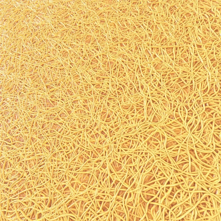 Spaghetti Pasta PBR Texture