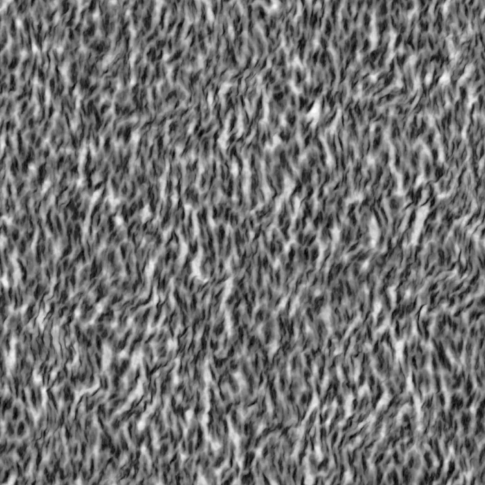 Zombie Skin PBR Texture