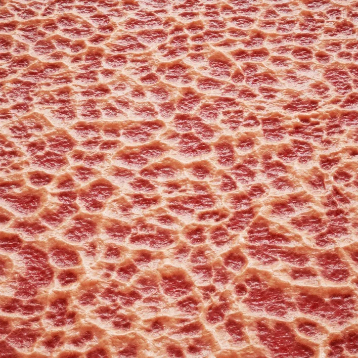 Zombie Skin PBR Texture