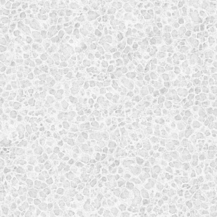 Zombie Skin PBR Texture