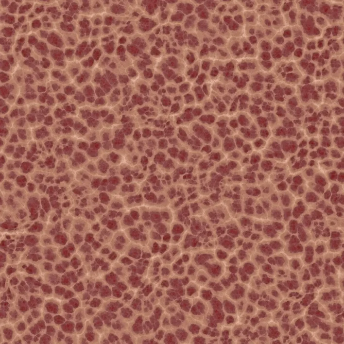 Zombie Skin PBR Texture