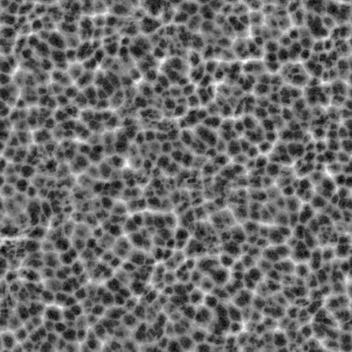 Zombie Skin PBR Texture