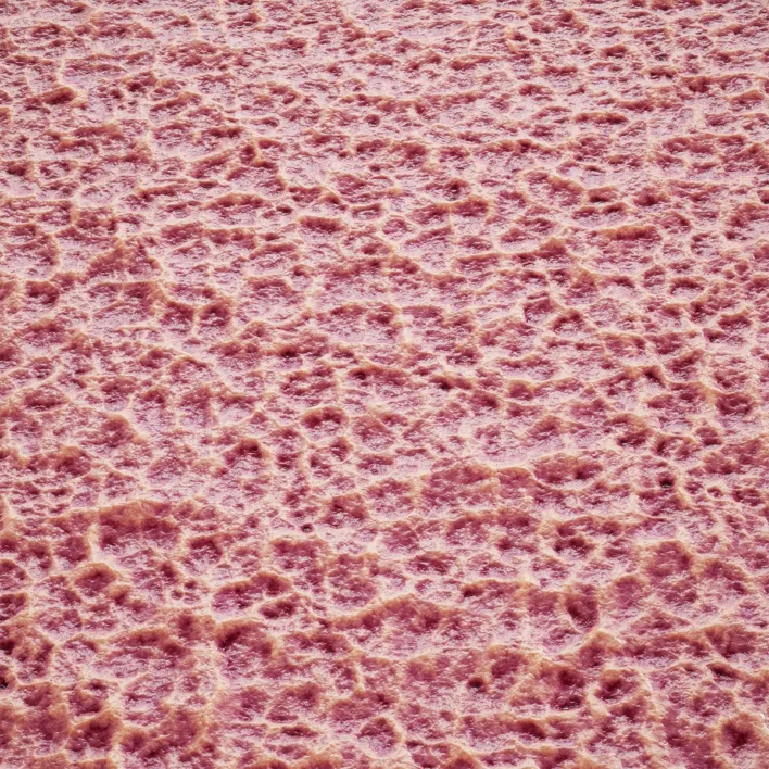 Zombie Skin PBR Texture