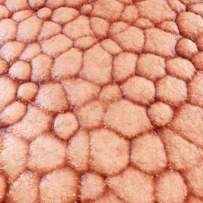 Zombie Tissue PBR Texture