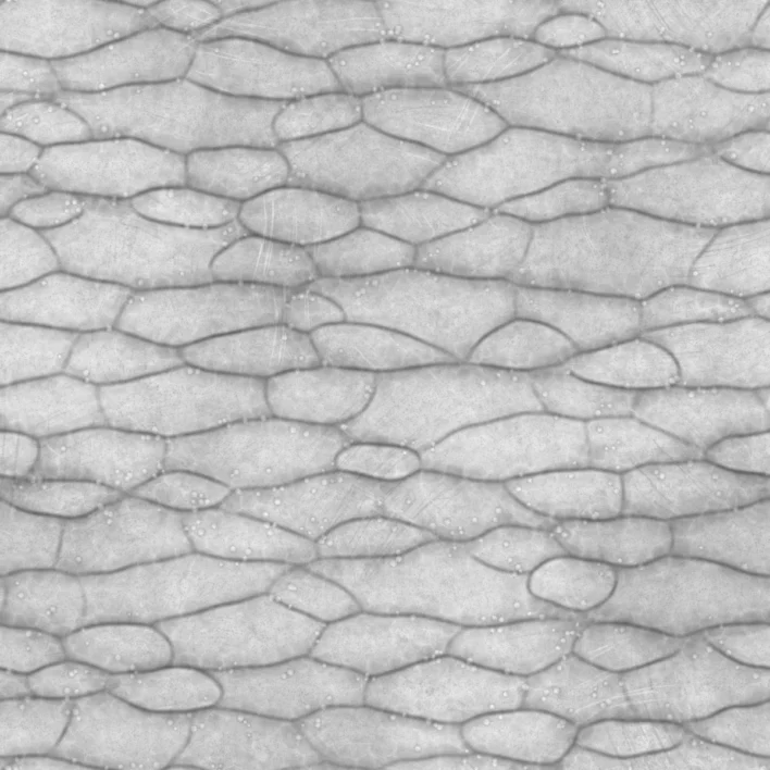 Zombie Tissue PBR Texture