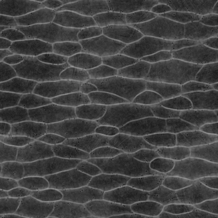 Zombie Tissue PBR Texture