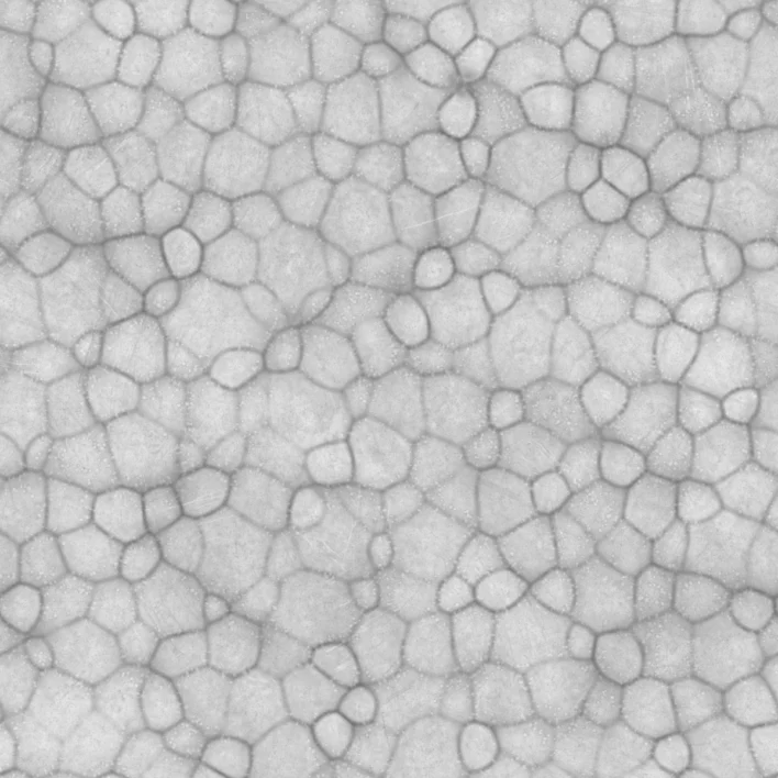 Zombie Tissue PBR Texture