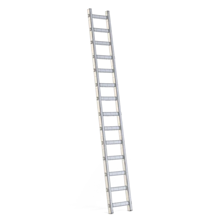 Old Wooden Ladder
